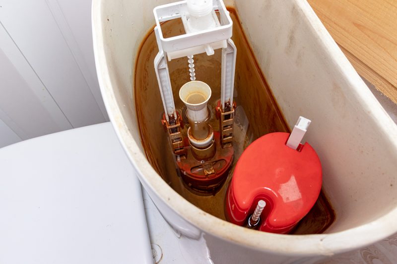 How to Remove Iron Bacteria from Well Water - SpringWell Water ...