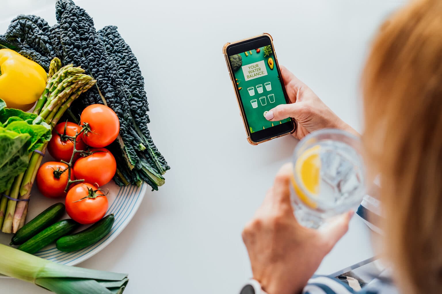 SpringWell Water Filtration Systems - Whole House Water Filter Systems